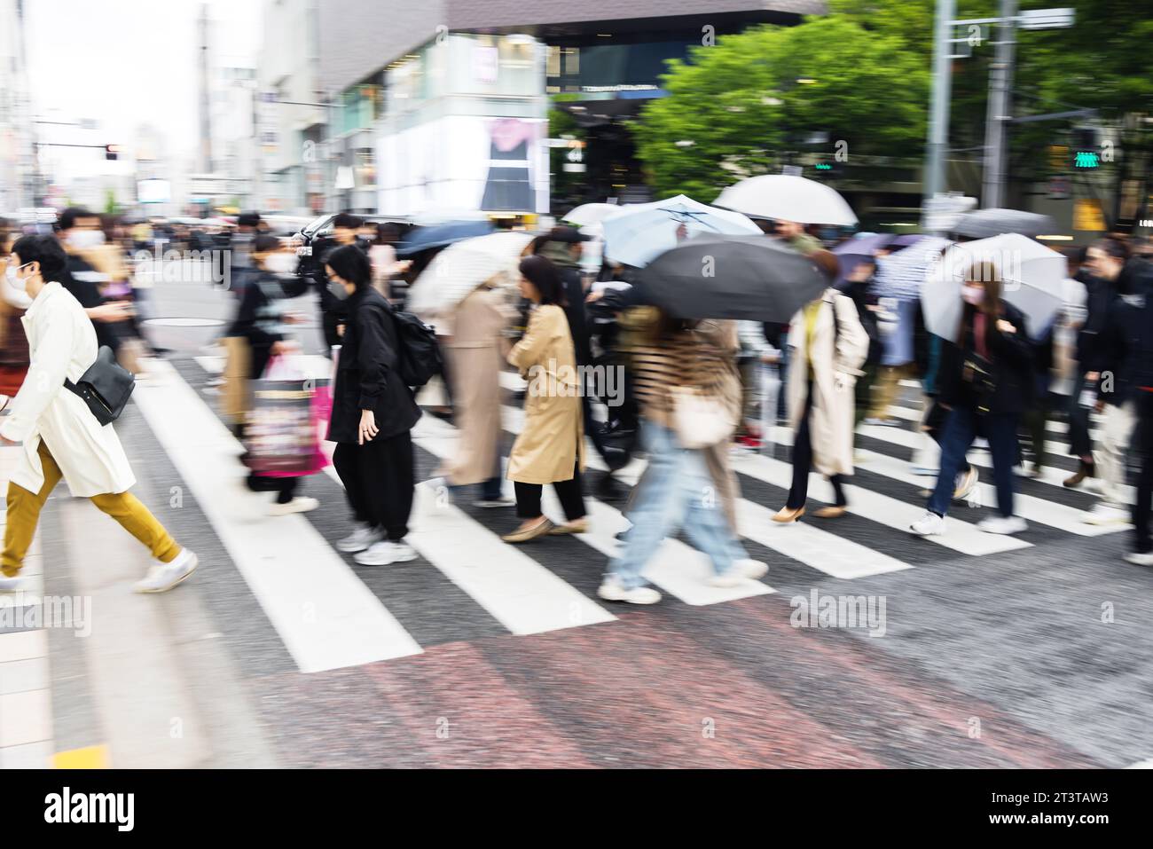 crowds of people with umbrellas crossing a street in Tokyo, Japan ...