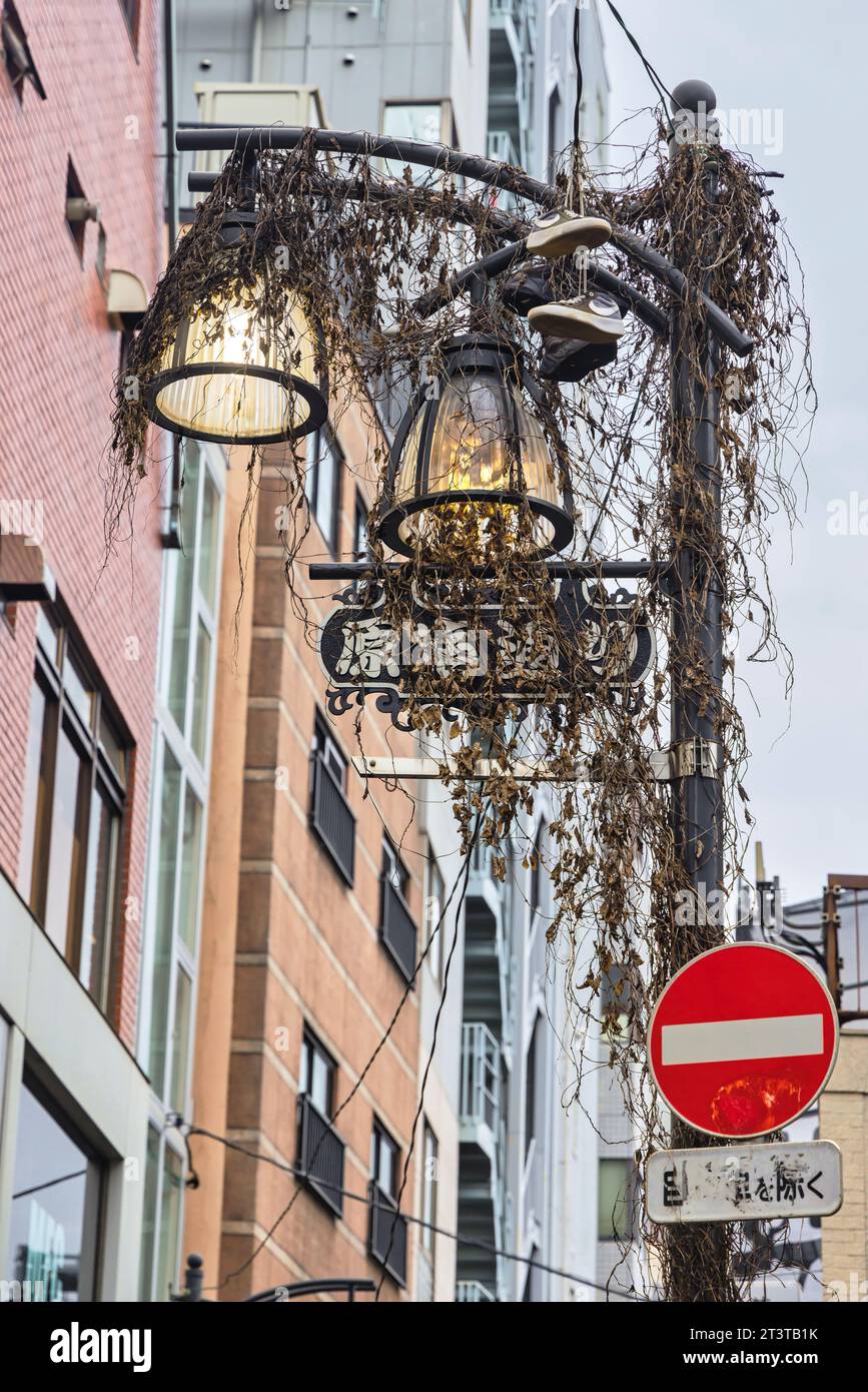 street sign of Harajuku Street with illuminated street lamps in Tokyo ...