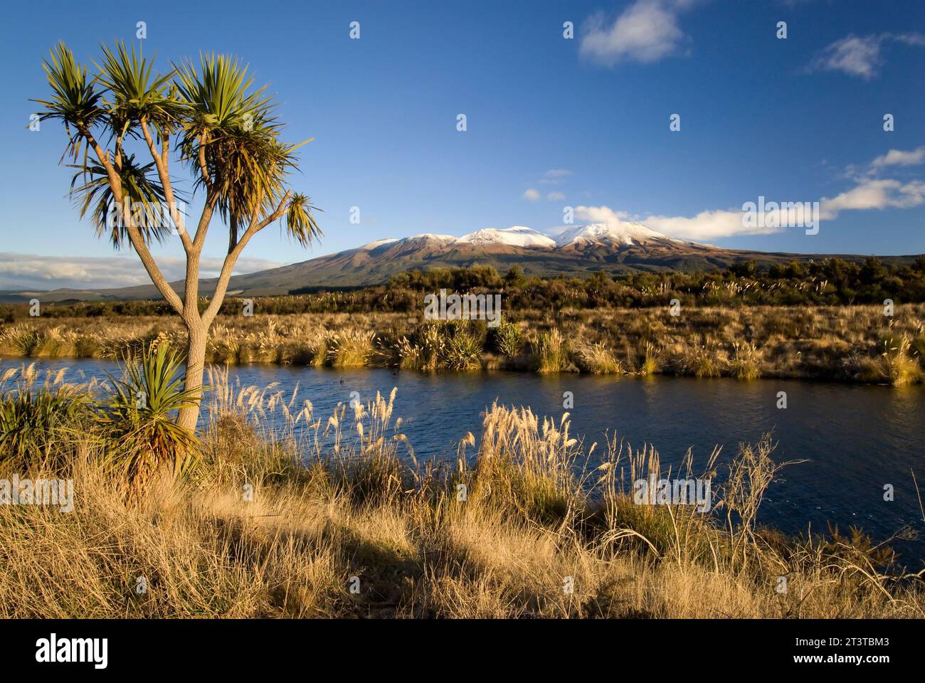 View from Lake Rotoaira of Mt. Tongariro and Mt Ngauruhoe. Tongariro ...