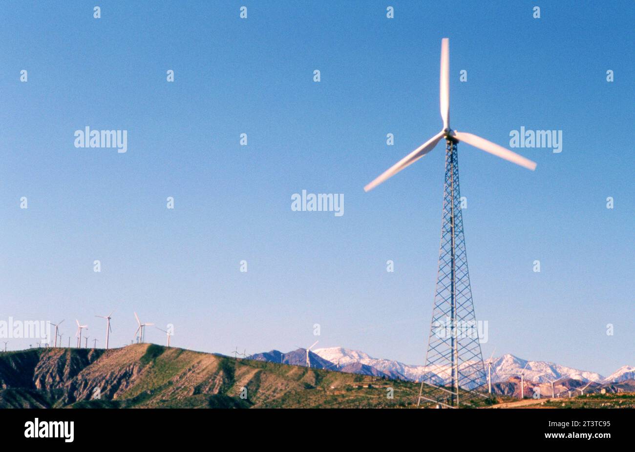 Palm Springs, California, USA. 26th Oct, 2023. Older generation ...