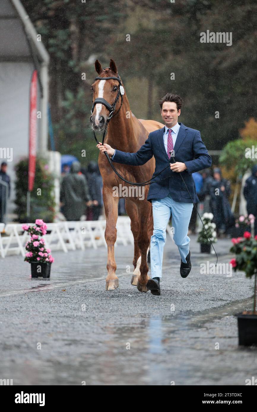 Harry MEADE of Great Britain with Red Kite during the first horse ...