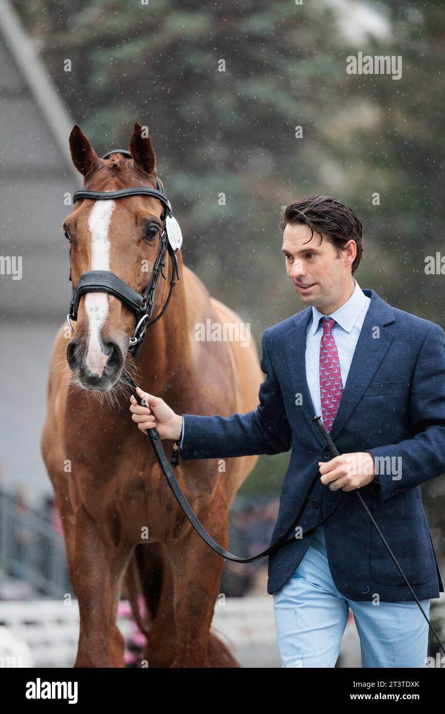 Harry MEADE of Great Britain with Red Kite during the first horse ...