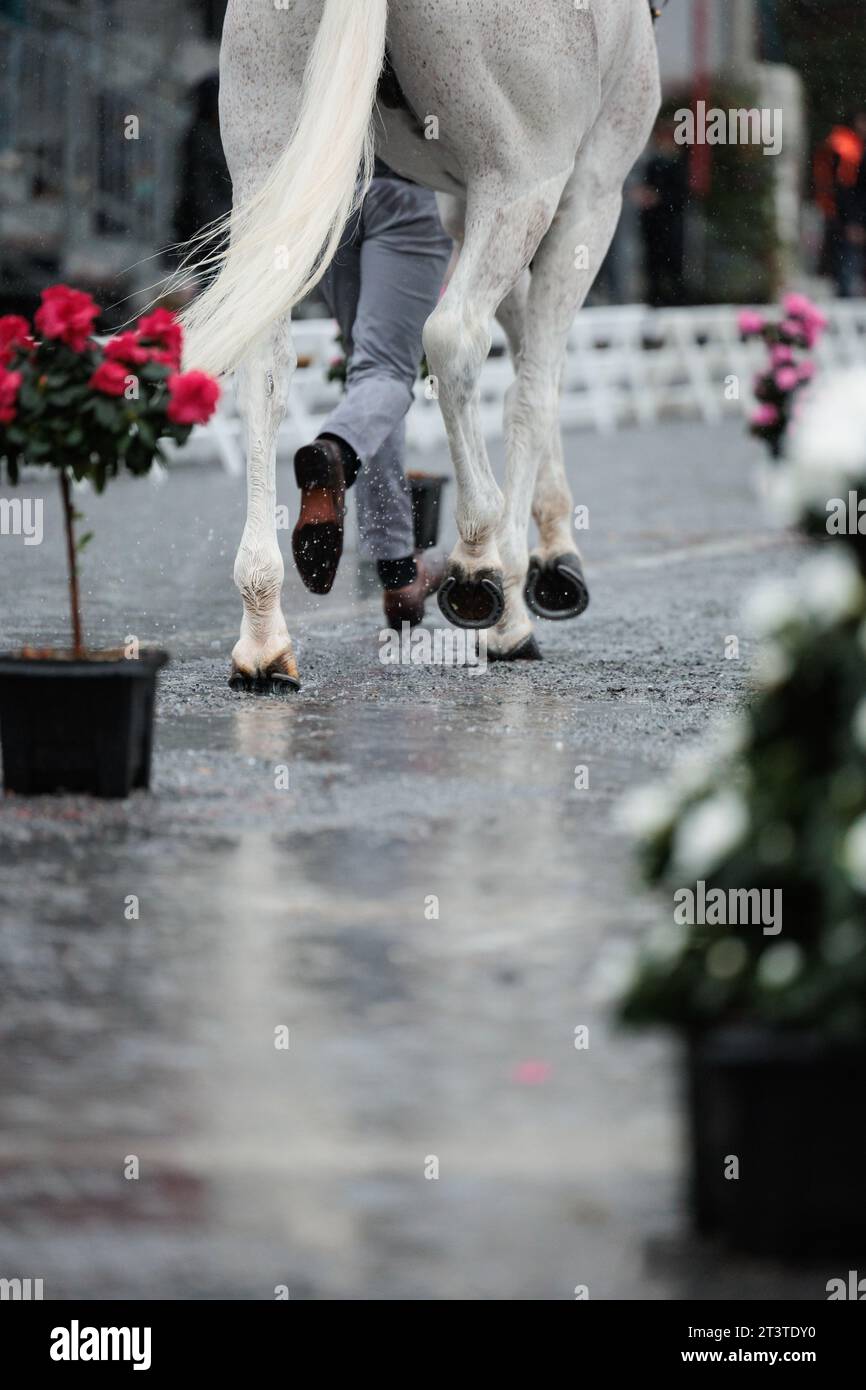 Wills OAKDEN of Great Britain with A Class Cooley during the first ...