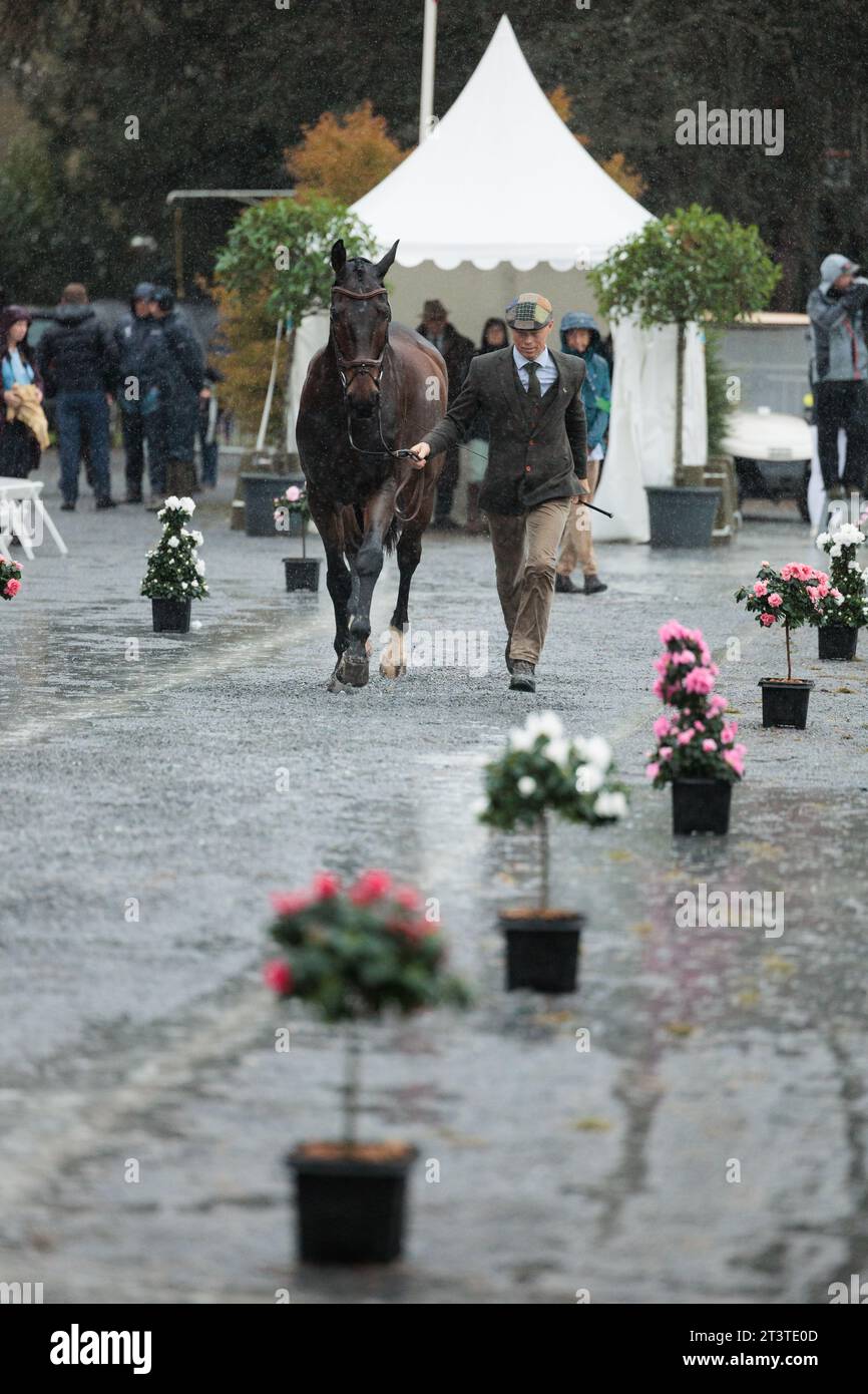 Aistis VITKAUSKAS of Lithuania with Commander Vg during the first horse ...