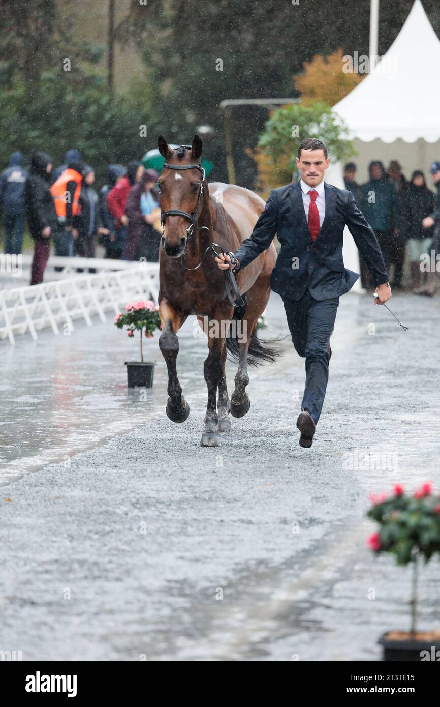 Arthur MARX of France with Church'Ile during the first horse inspection ...
