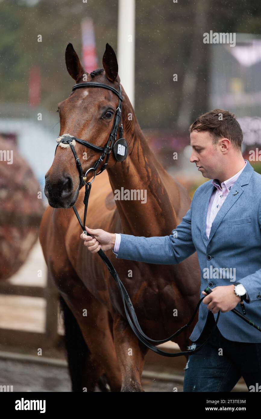 Daragh BYRNE of Ireland with Kilcannon Ramiro during the first horse ...