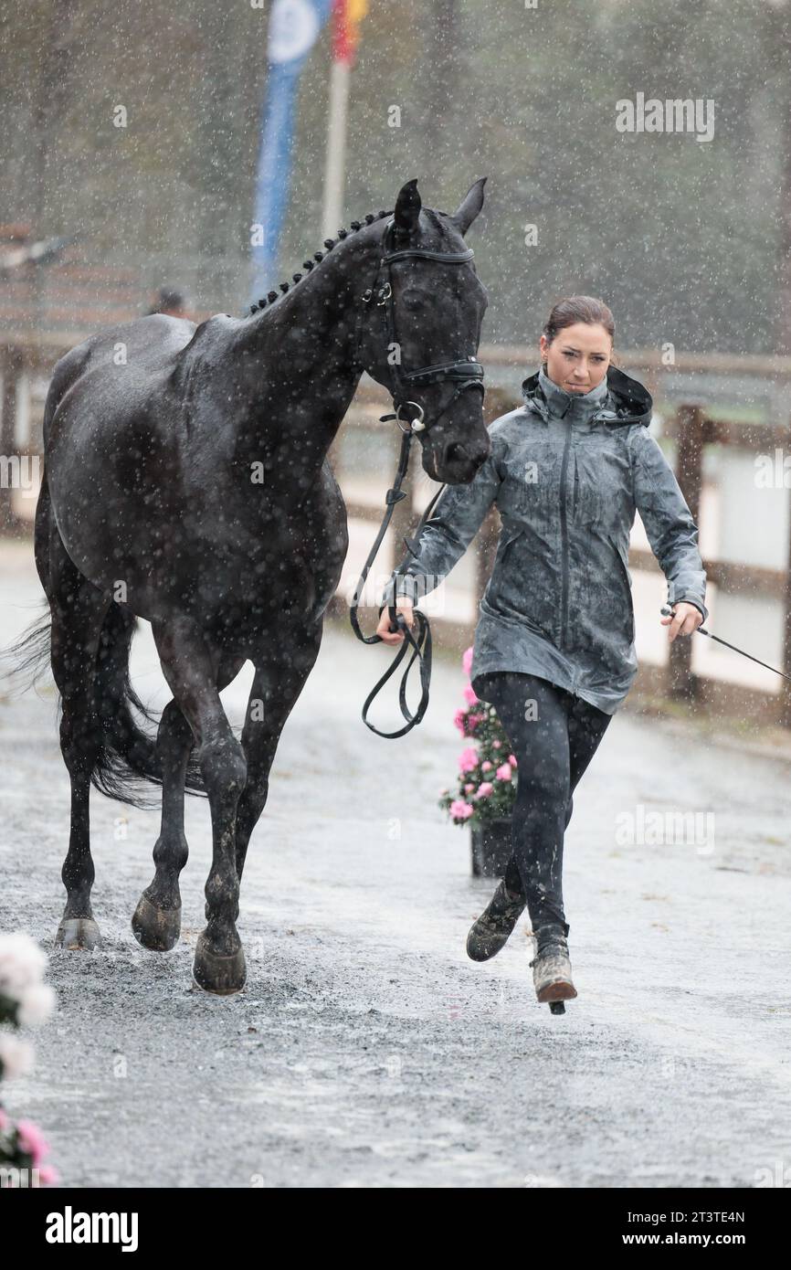 Felicity WARD of Ireland with Regal Bounty during the first horse ...