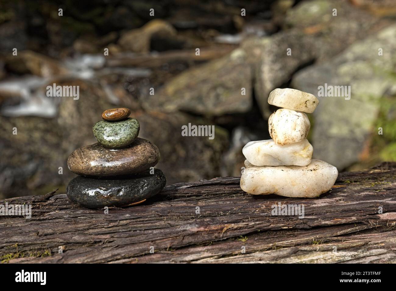 Two stacks of darker and lighter stones on top of a fallen log in north ...