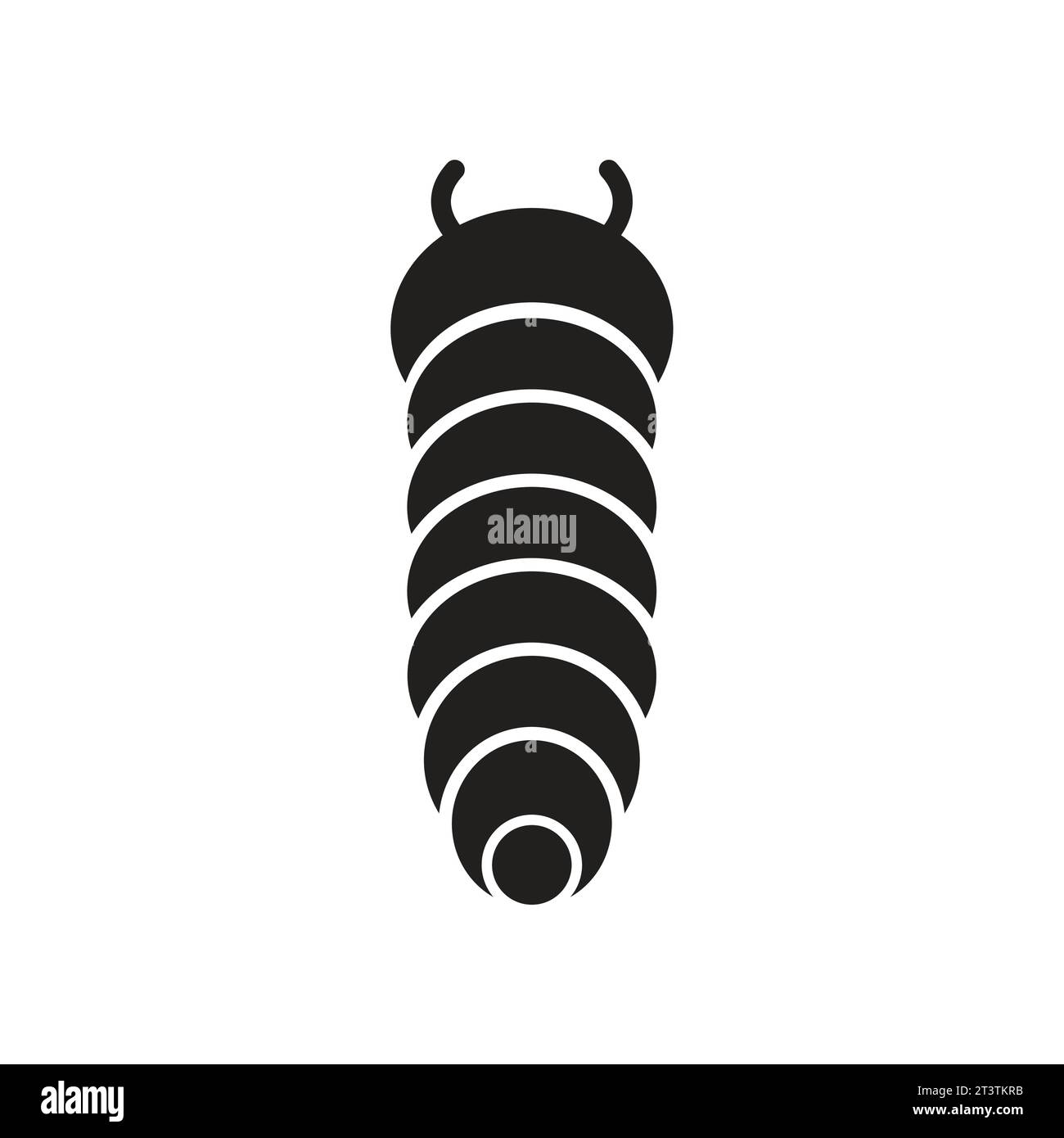 Lepidoptera insect Black and White Stock Photos & Images - Alamy