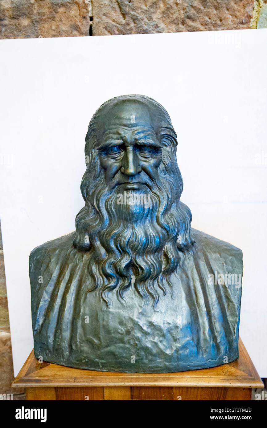 Da vinci head anatomy hi-res stock photography and images - Alamy