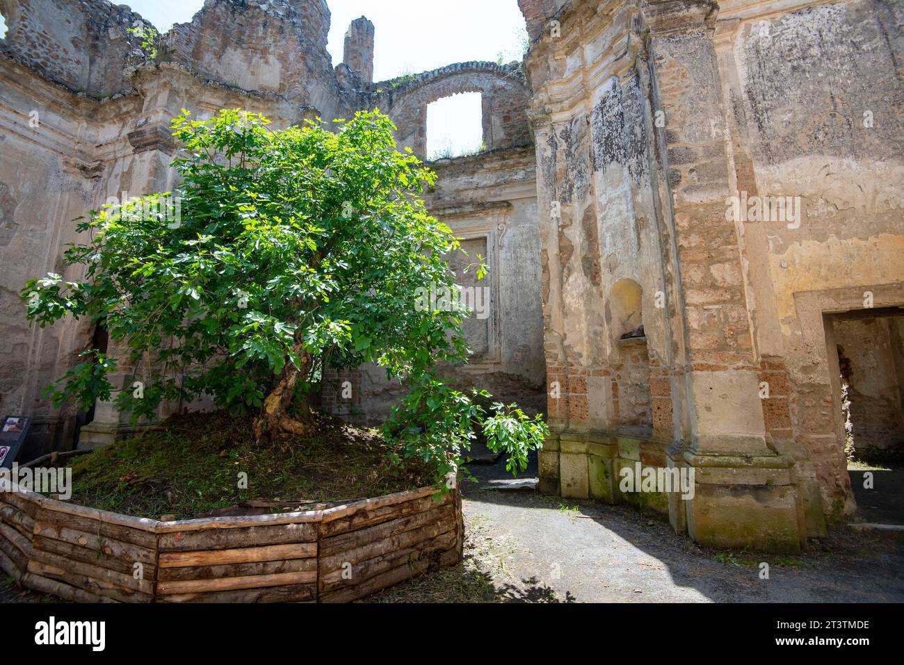 Canale monterano hi-res stock photography and images - Alamy