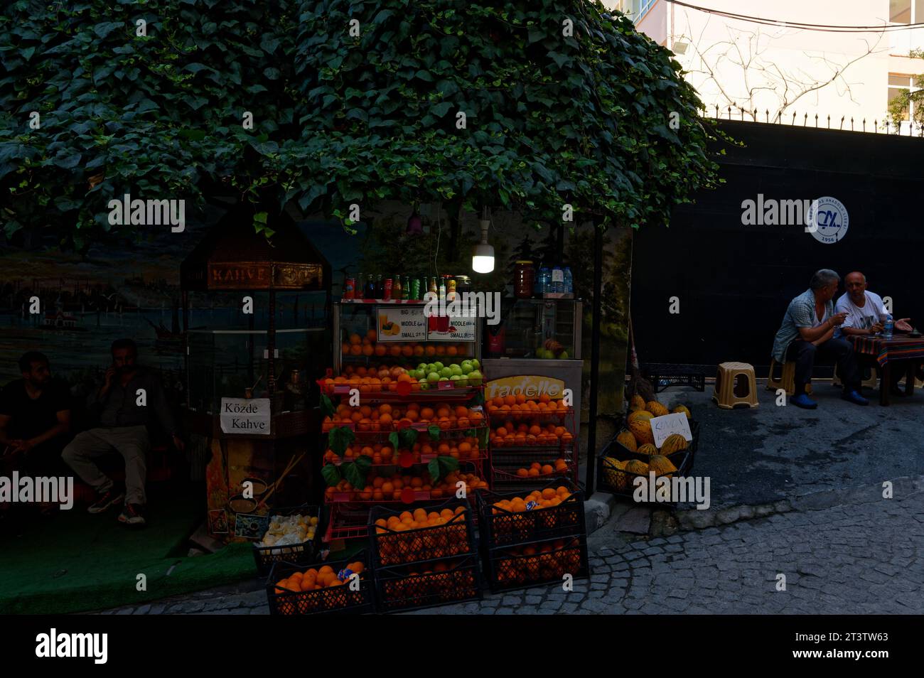 Vibrant street stall nestled beneath the shade of a sprawling tree ...