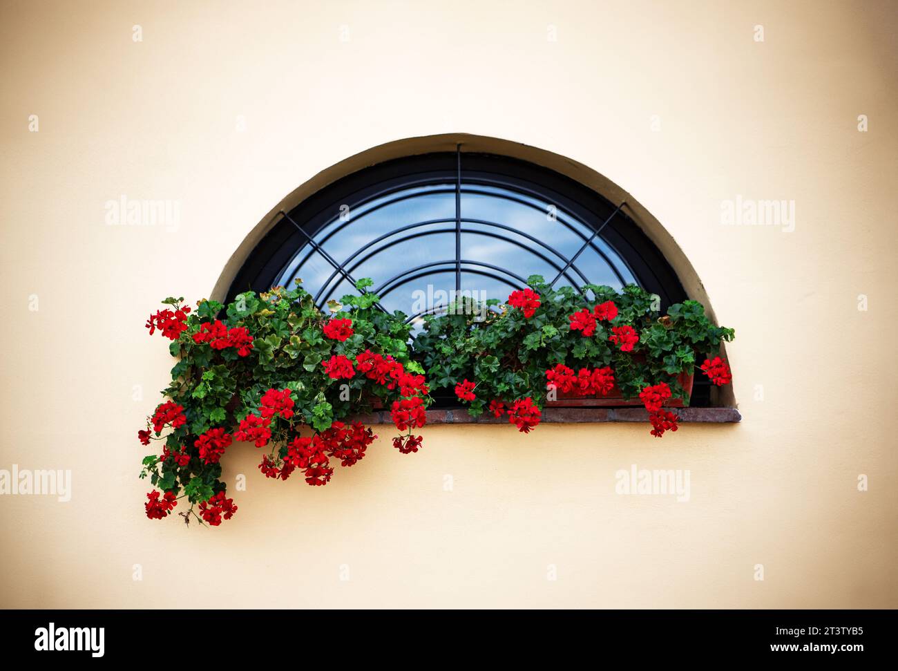 Flower arrangement window hi-res stock photography and images - Alamy