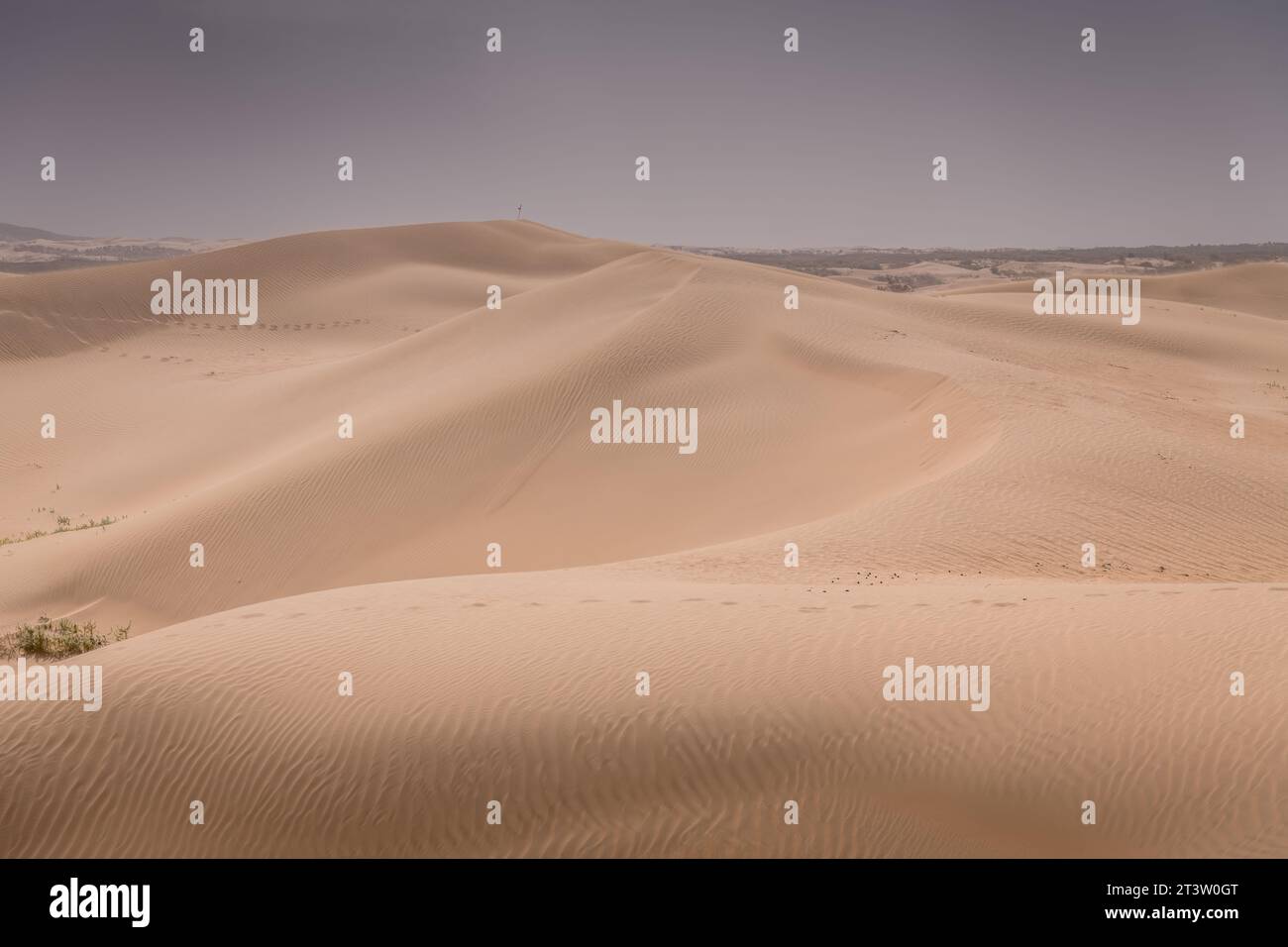 Sand dunes in the Gobi Desert in Inner Mongolia, China Stock Photo - Alamy