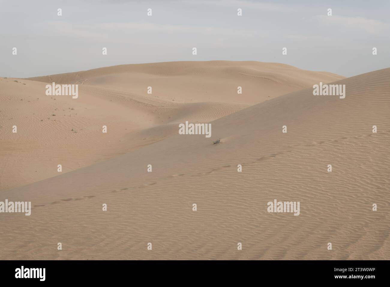 Tengri Desert in the Inner Mongolia Autonomous Region in China Stock ...