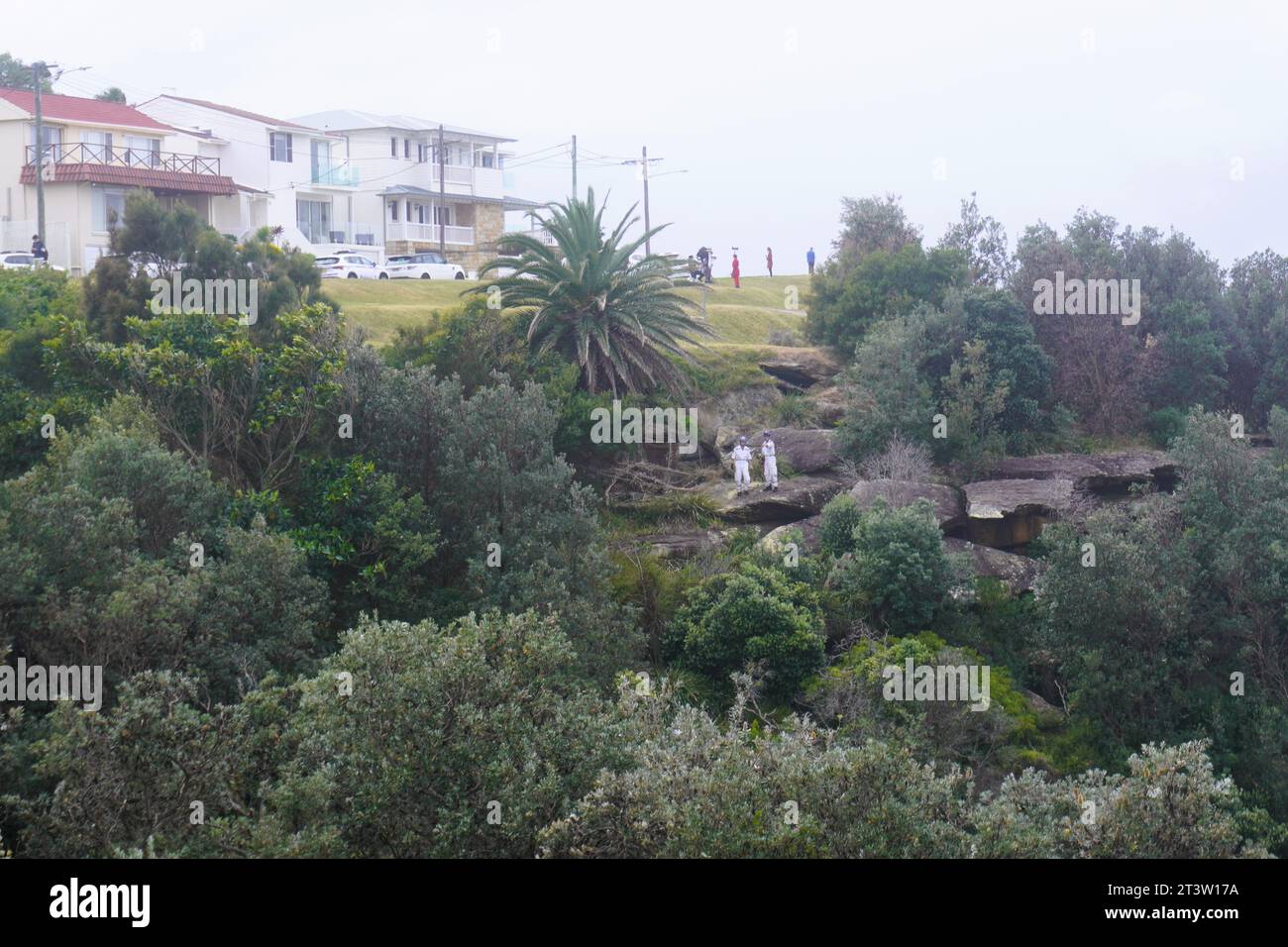 Police Rescue Workers assessing a Body Retrieval Situation at Diamond ...