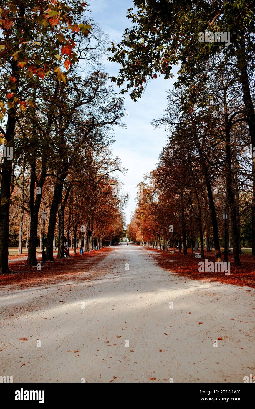 autumn landscape of Ducale park Parma Italy Stock Photo - Alamy