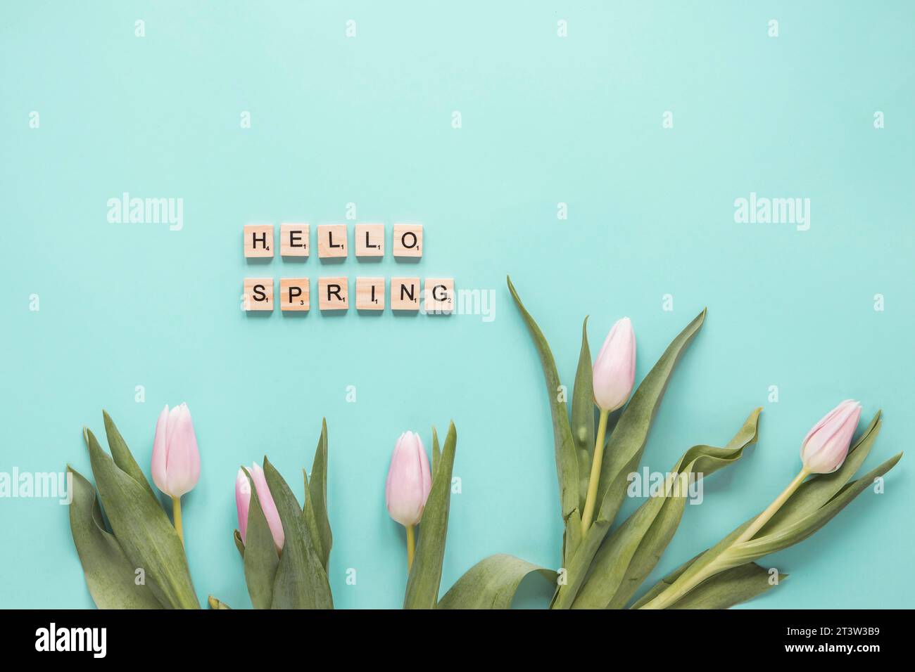 Set fresh tulips with green leaves hello spring words Stock Photo - Alamy