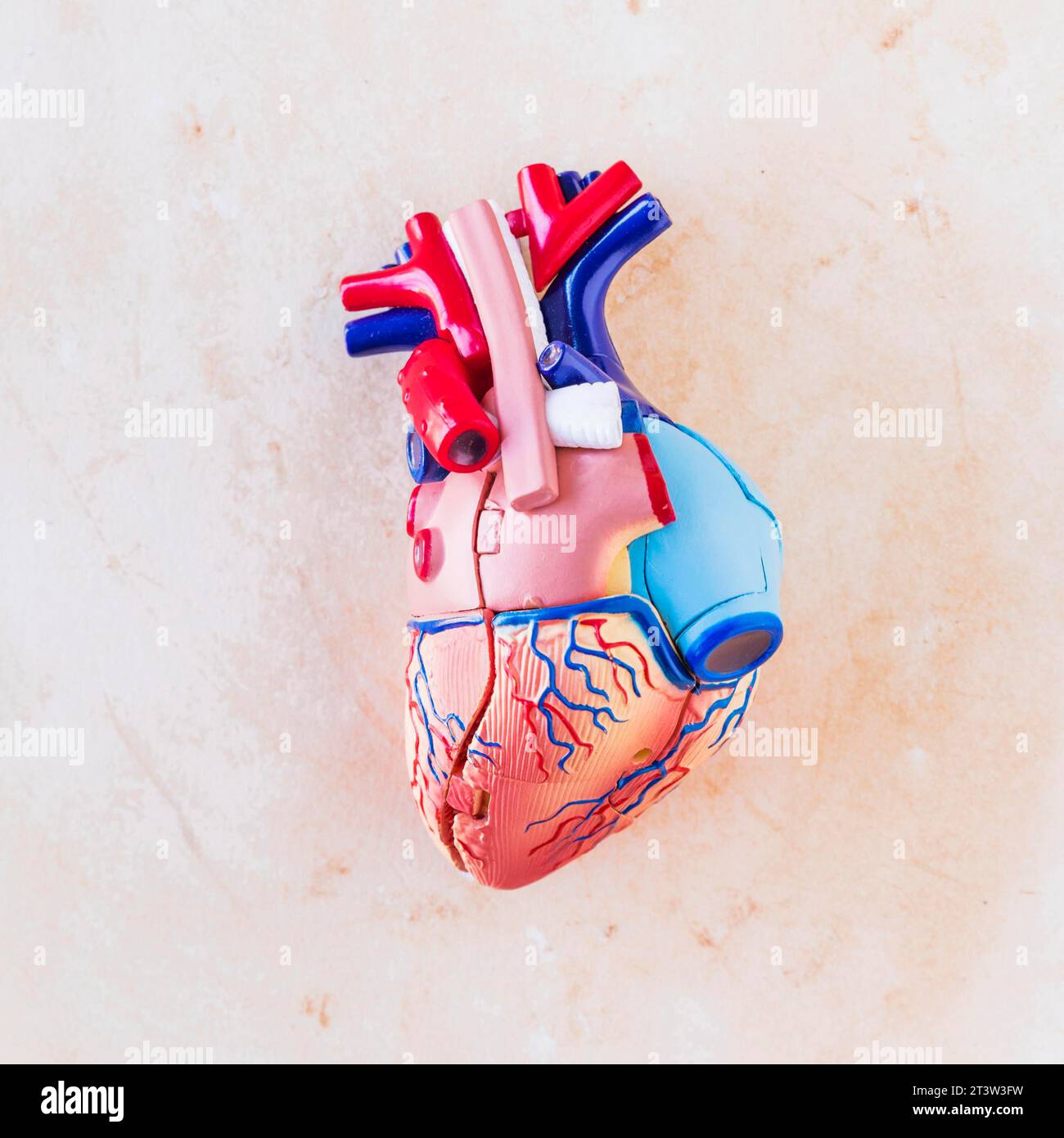 Plastic love hi-res stock photography and images - Alamy