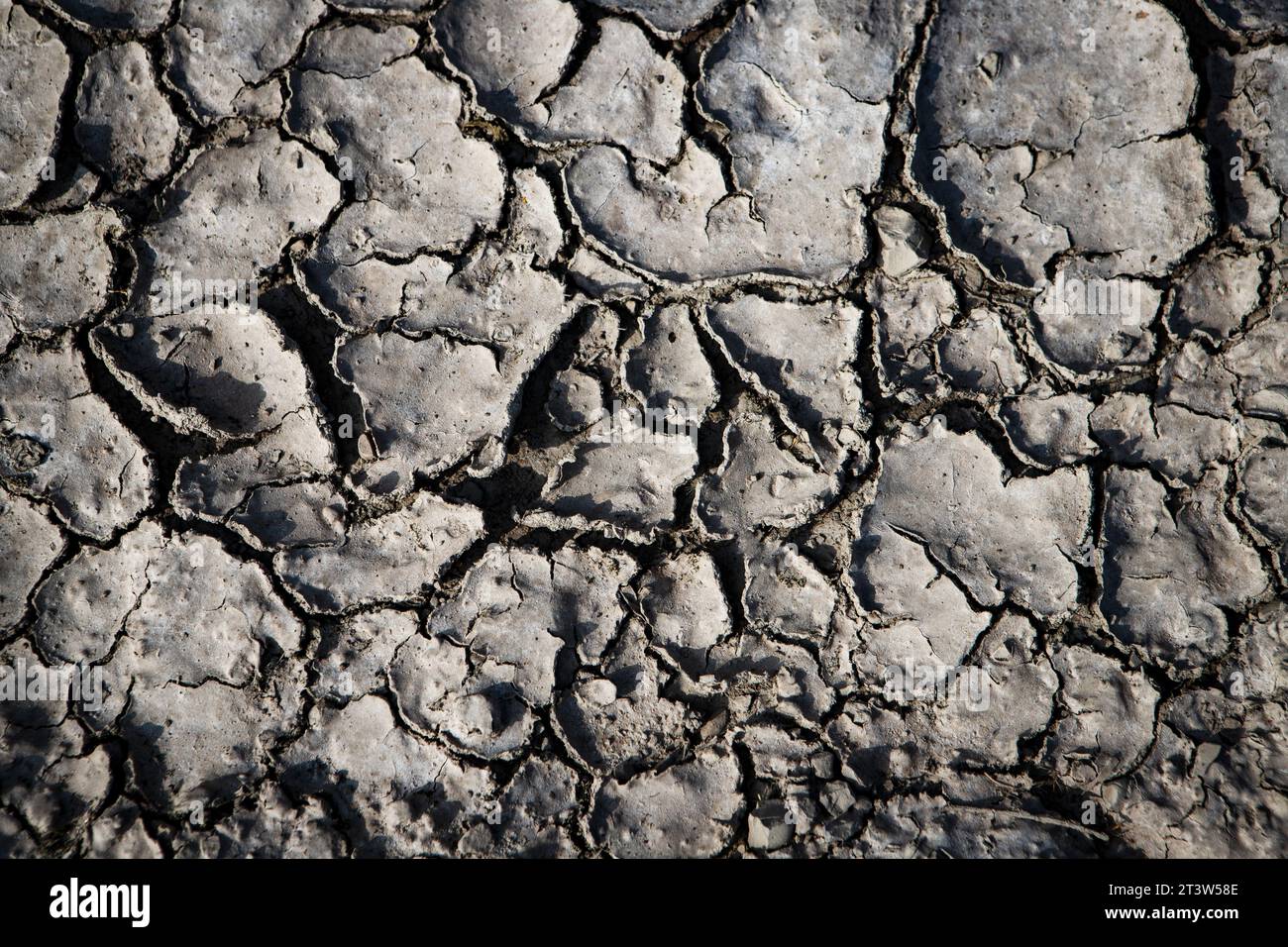 Dry earth texture Stock Photo - Alamy