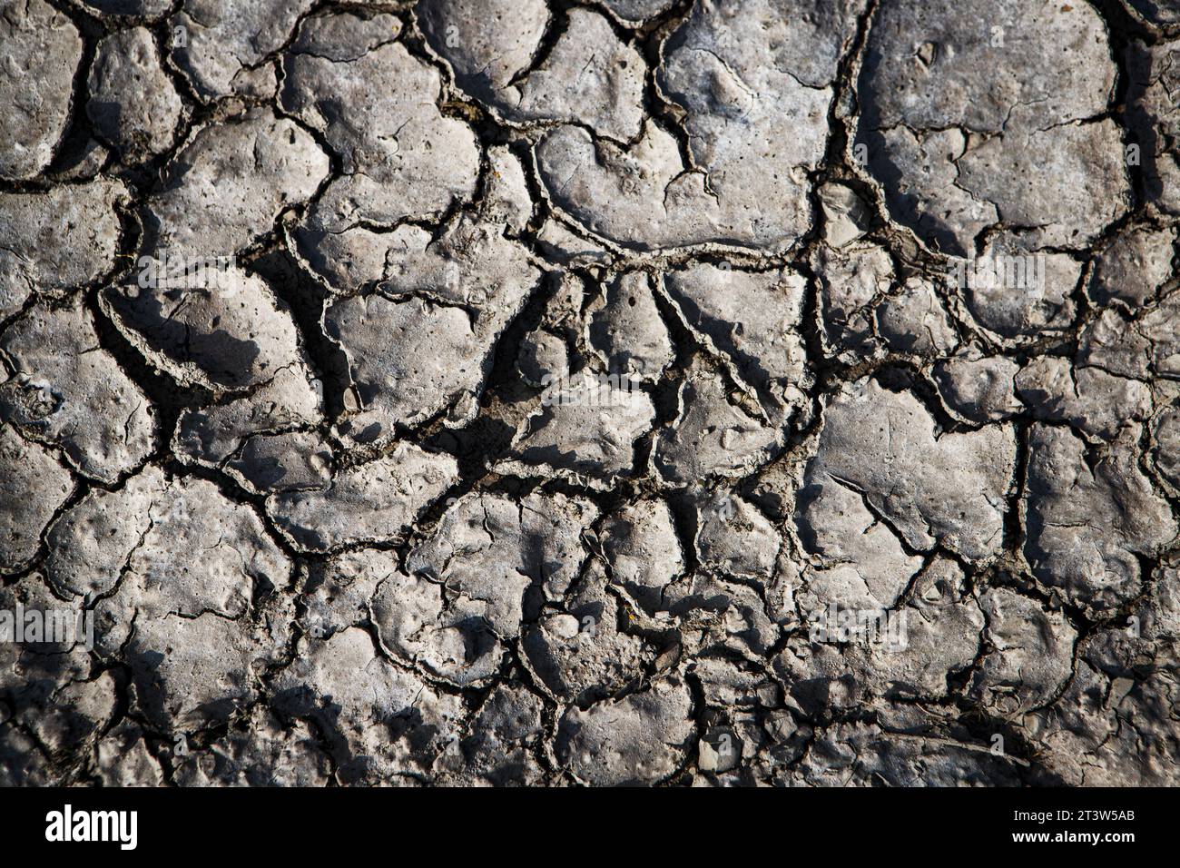 Texture photo effects hi-res stock photography and images - Alamy