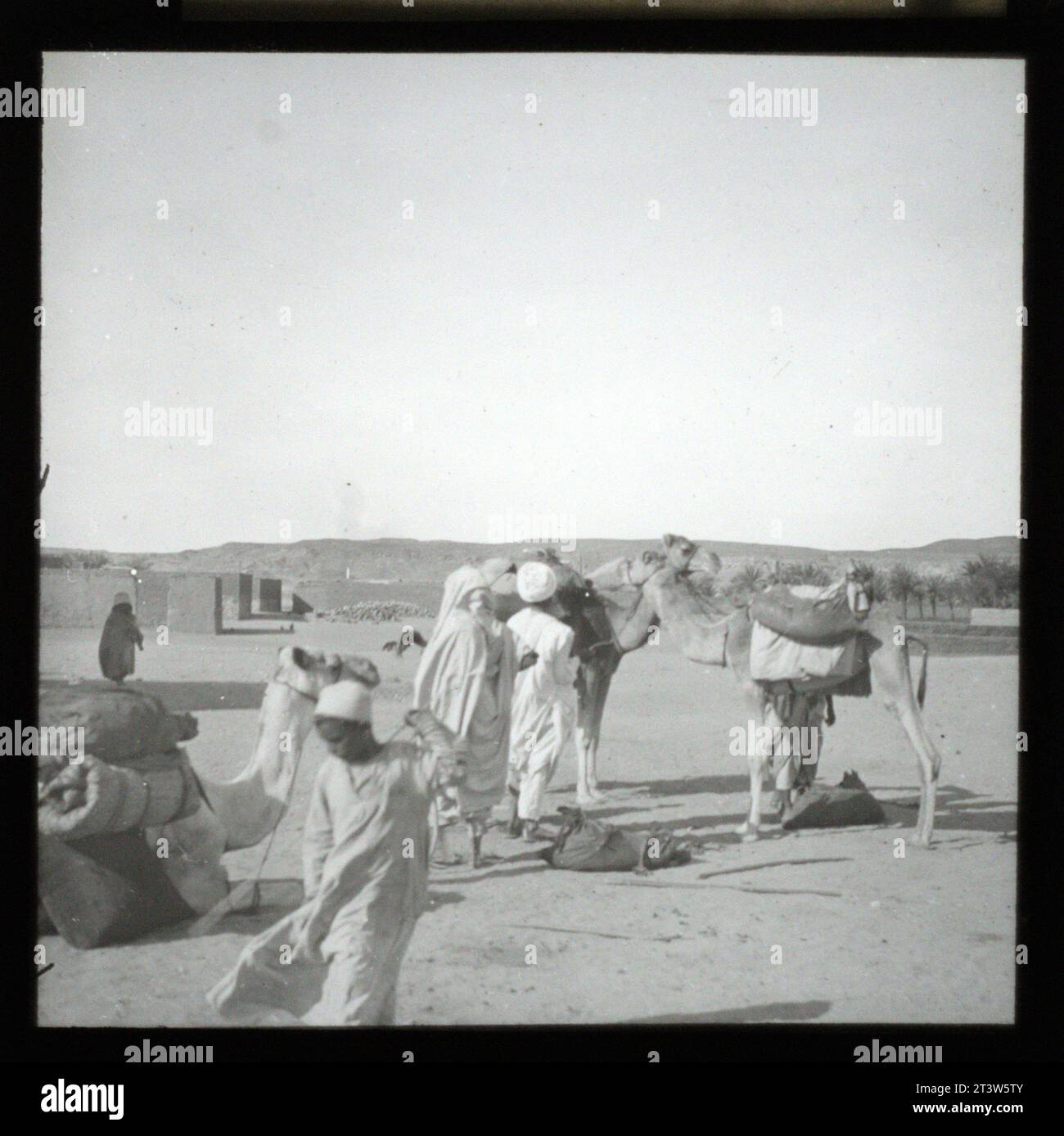 1920s egyptology hi-res stock photography and images - Alamy