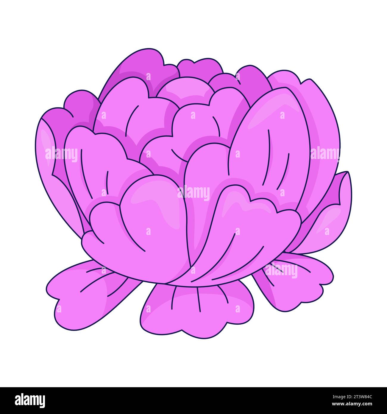 Pink peony flower 2D linear cartoon object Stock Vector Image & Art - Alamy