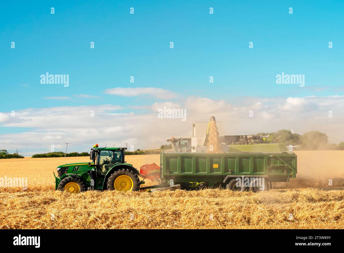 Wheat harvesting in the summer season by a modern combine harvester ...