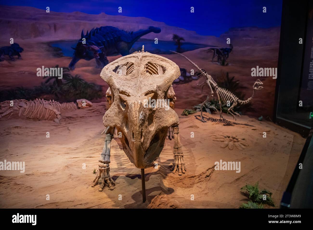 View of the Hohhot Museum of Natural History with dinosaur skeletons ...