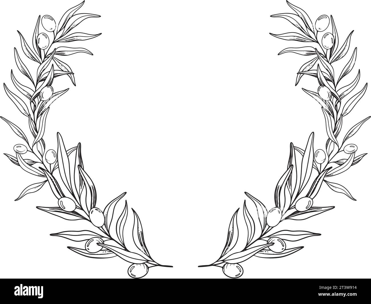Sketch Wreath of olive branch with berries and leaves. Hand drawn ...
