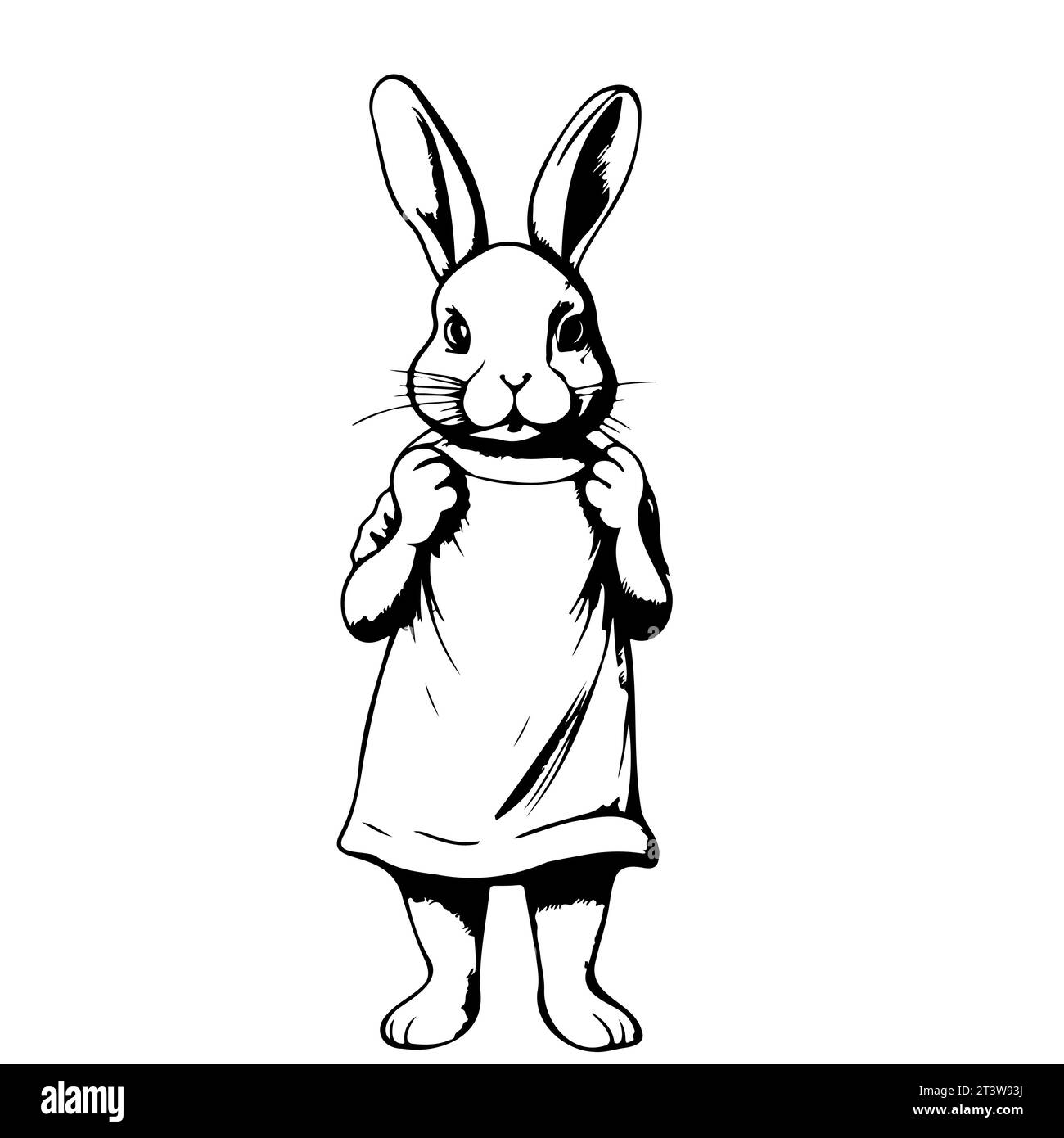 Hand drawn sketch. Engraving bunny on white background . Vector ...