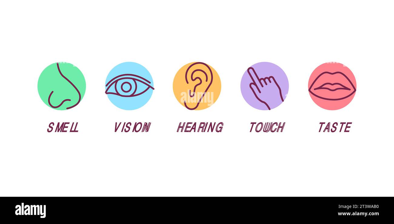 Icon set of five human senses vision eye , smell nose , hearing ear ...