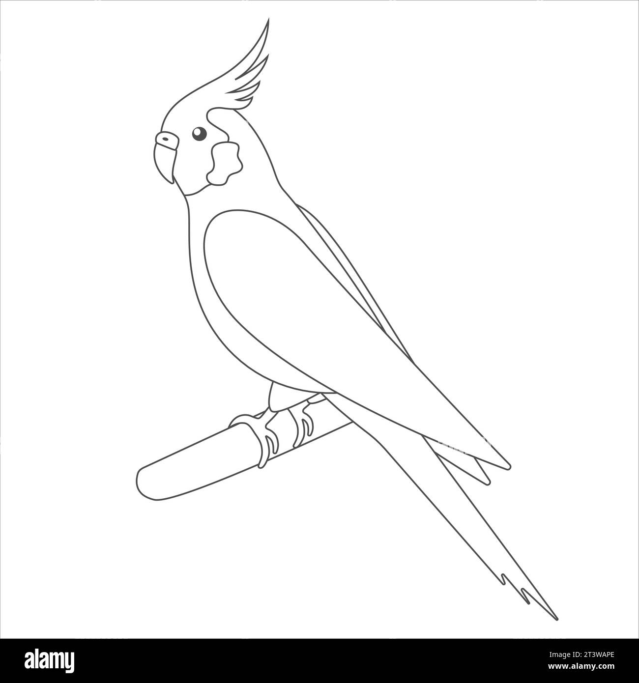 Doodle cute flat vector realistic parrot isolated on white background ...