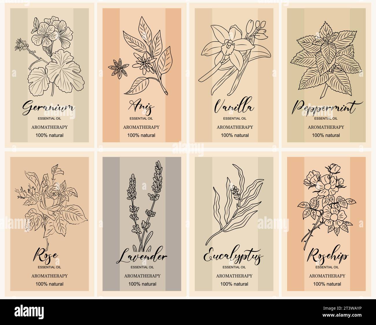 Essential oil labels set vector line art Stock Vector Image & Art - Alamy