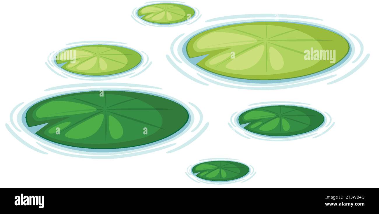Pond lily pads Cut Out Stock Images & Pictures - Alamy