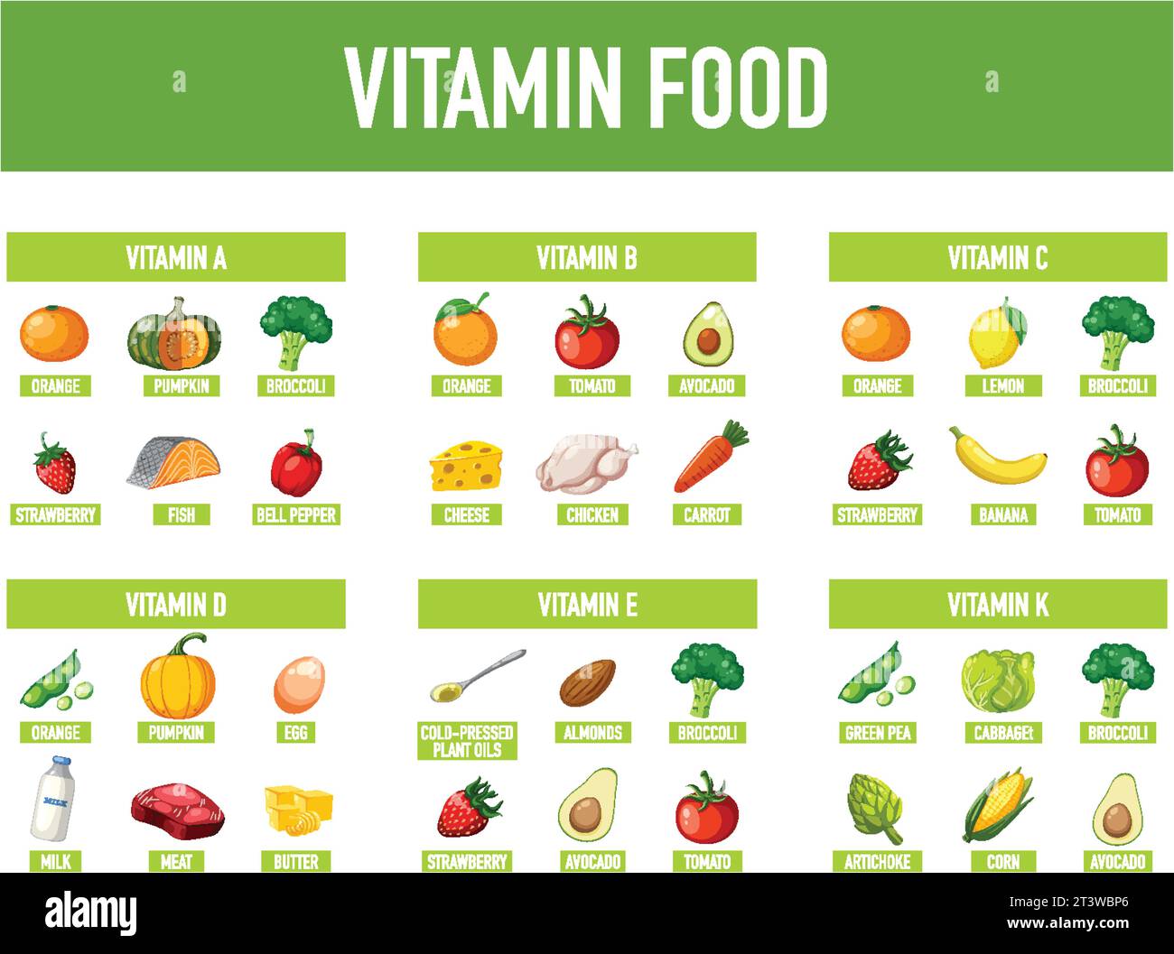 Illustration of various food types categorized by their vitamin content ...