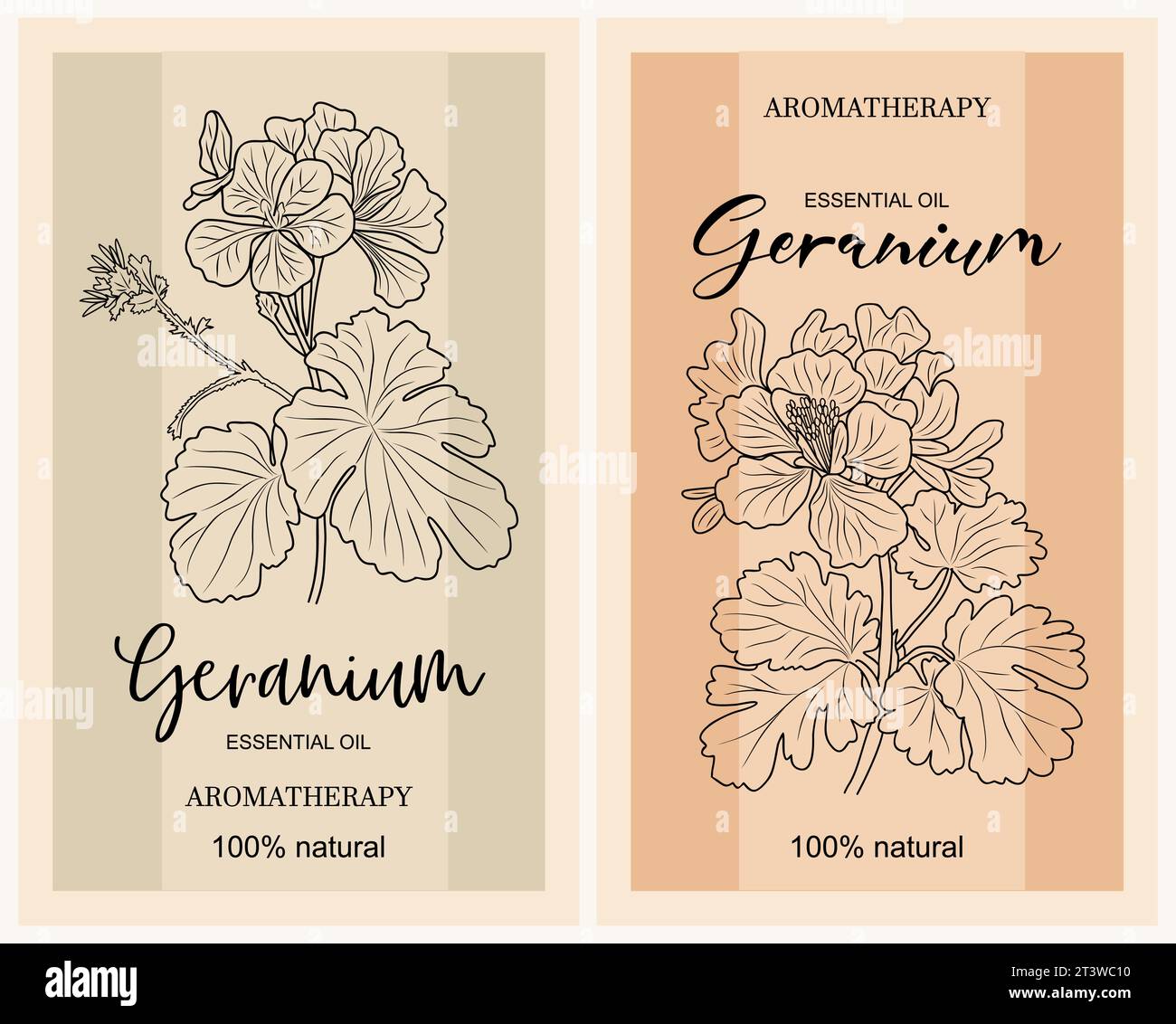 Geranium Essential oil labels set vector line art Stock Vector Image ...