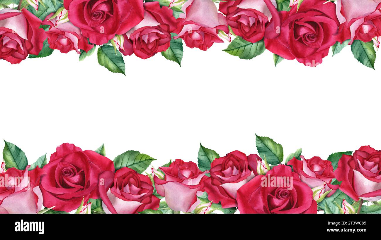 Banner border frame with red rose blooms buds and leaves. Watercolor ...