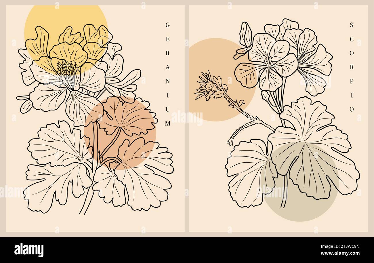 Botanical art with Scorpio Birth flower Geranium Stock Vector Image ...