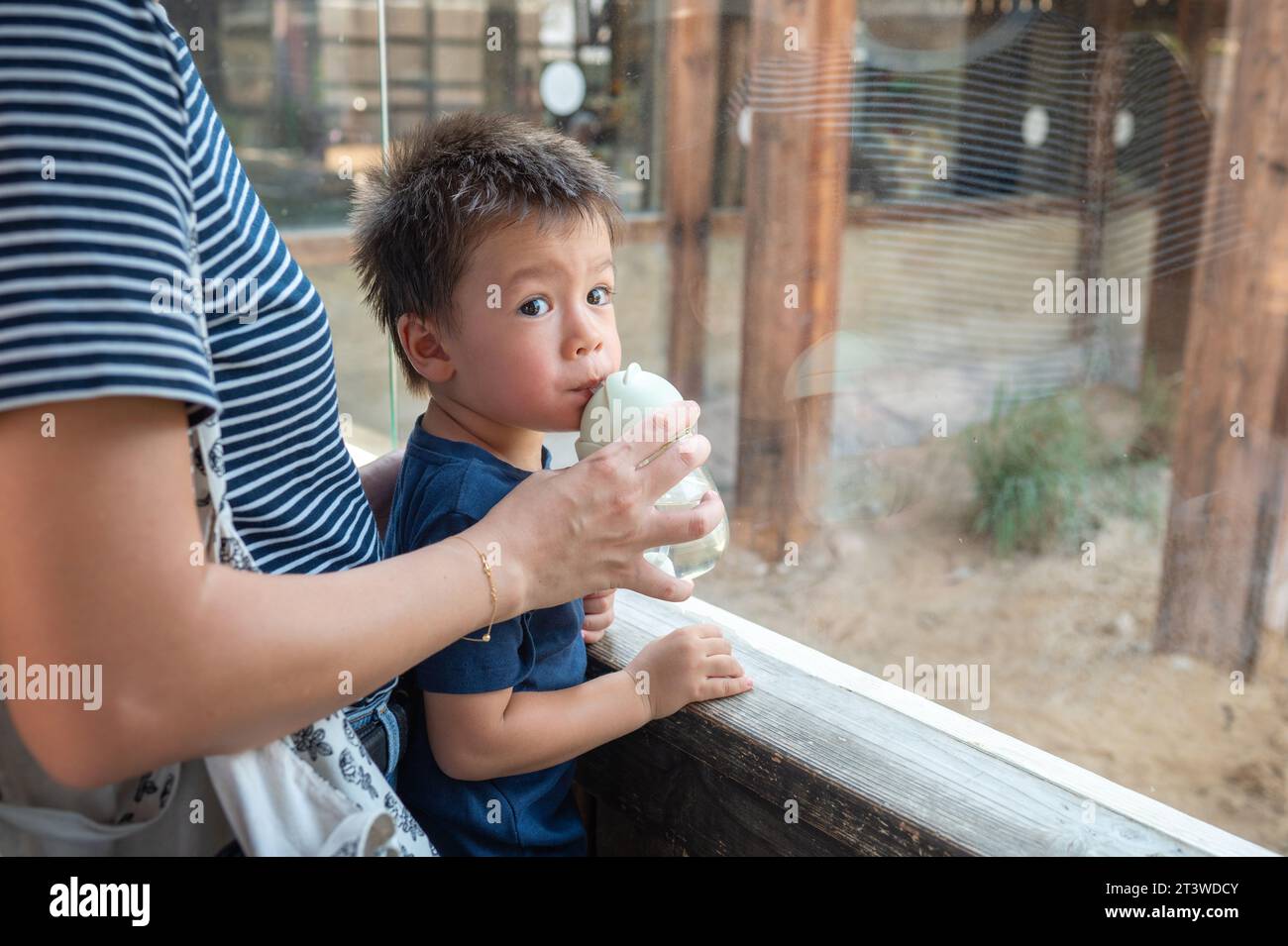 Two year old adorable boy and his mother are watching the animals in ...