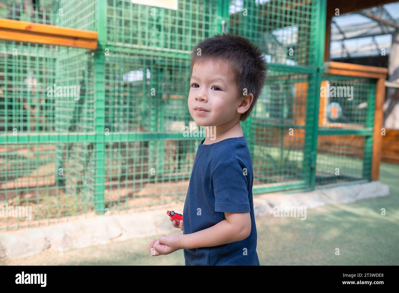 Adorable multiracial baby boy standing in front of cage with animals in ...