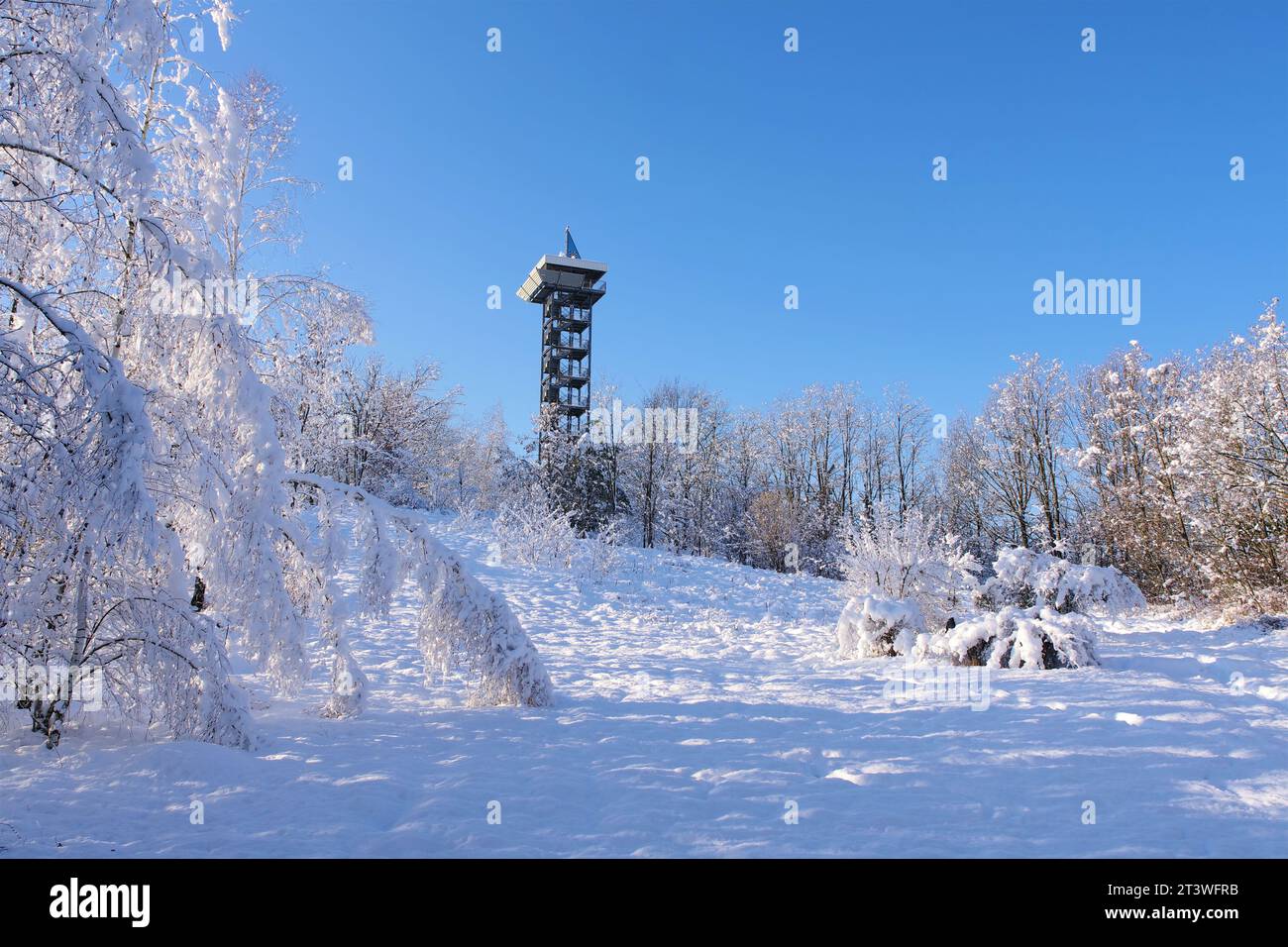an observation tower in a snow-covered winter landscape in Lusatia ...