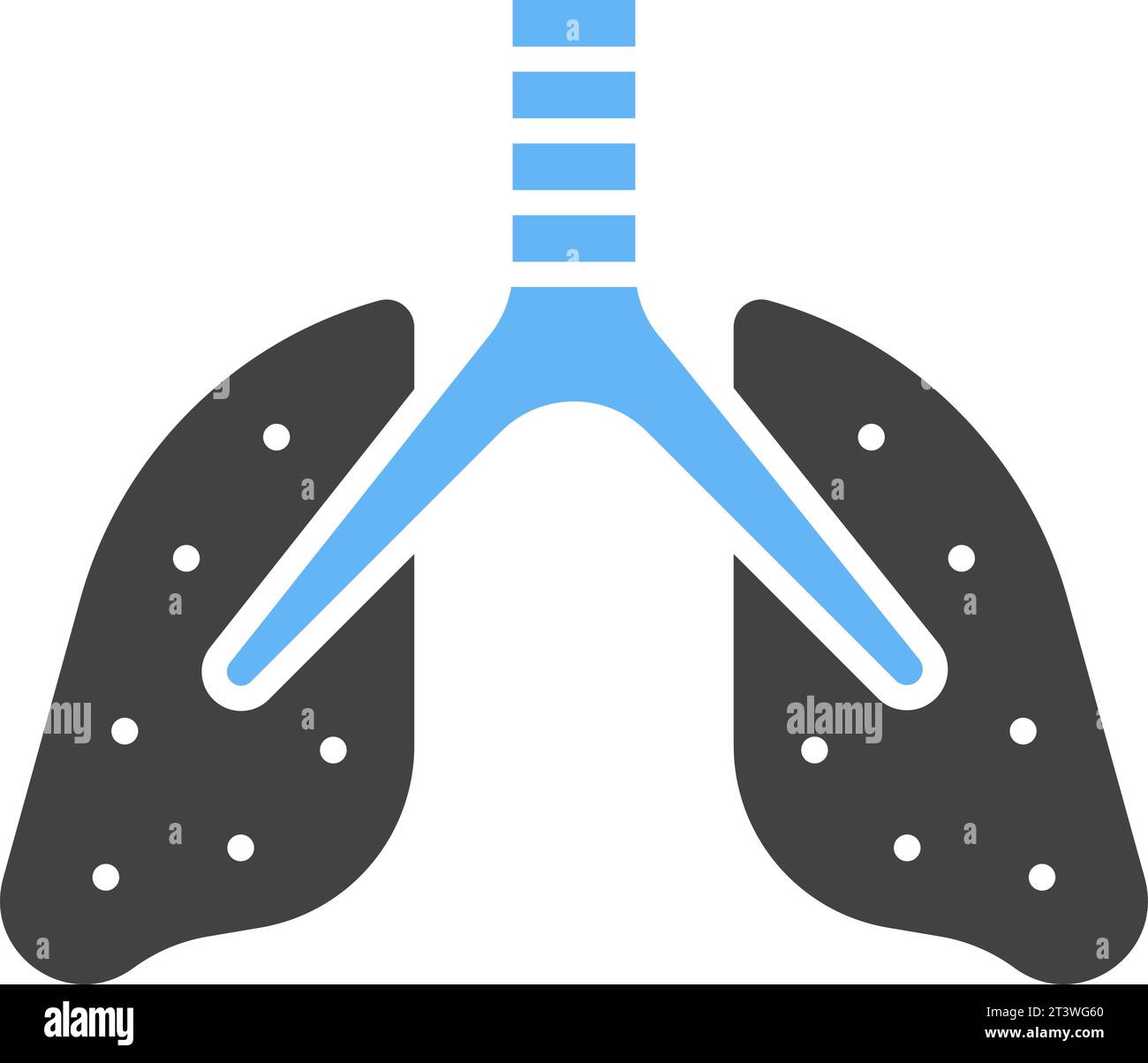 Line illustration of lungs Stock Vector Images - Alamy