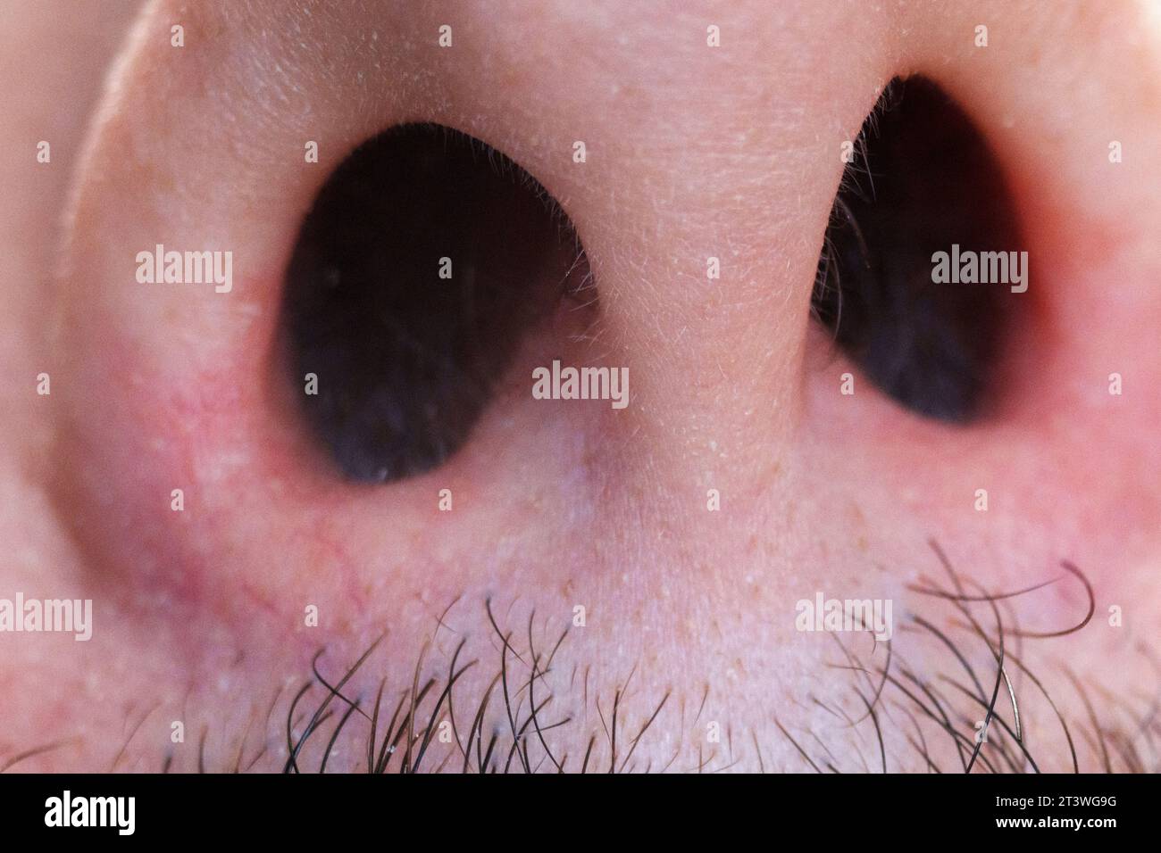 Man hairy nose hi-res stock photography and images - Alamy