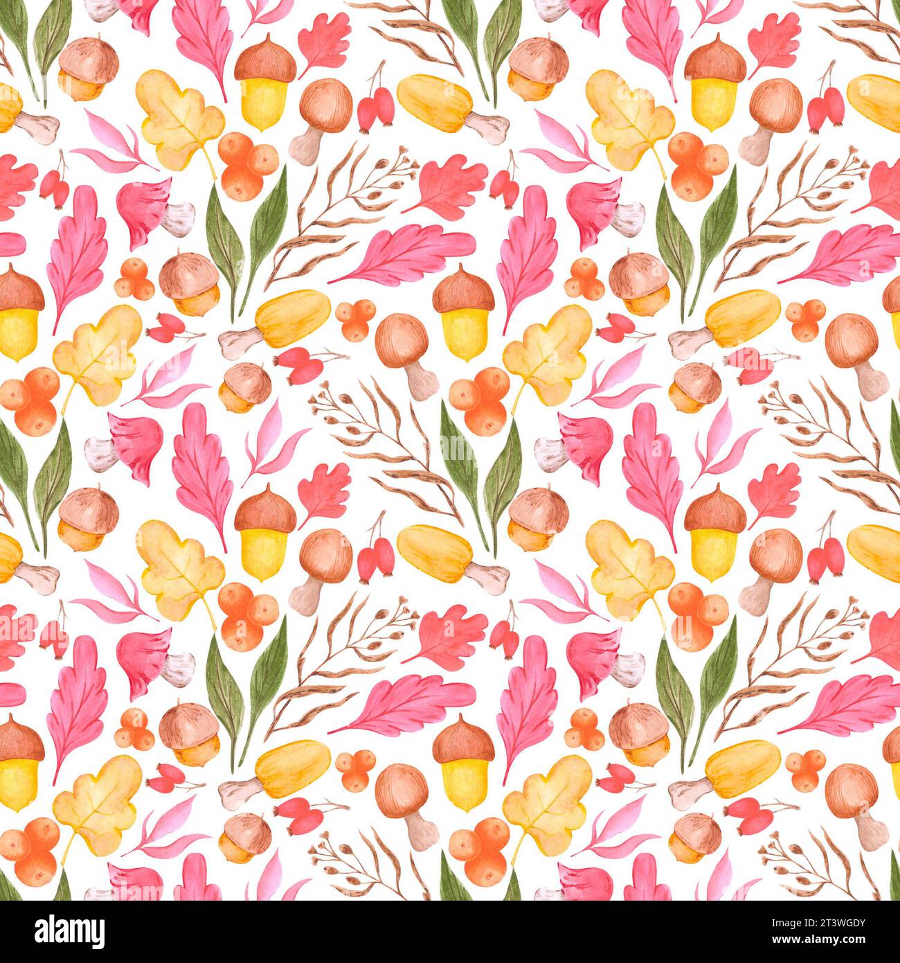 Hand drawn watercolor autumn berries, leaves, seamless pattern isolated ...