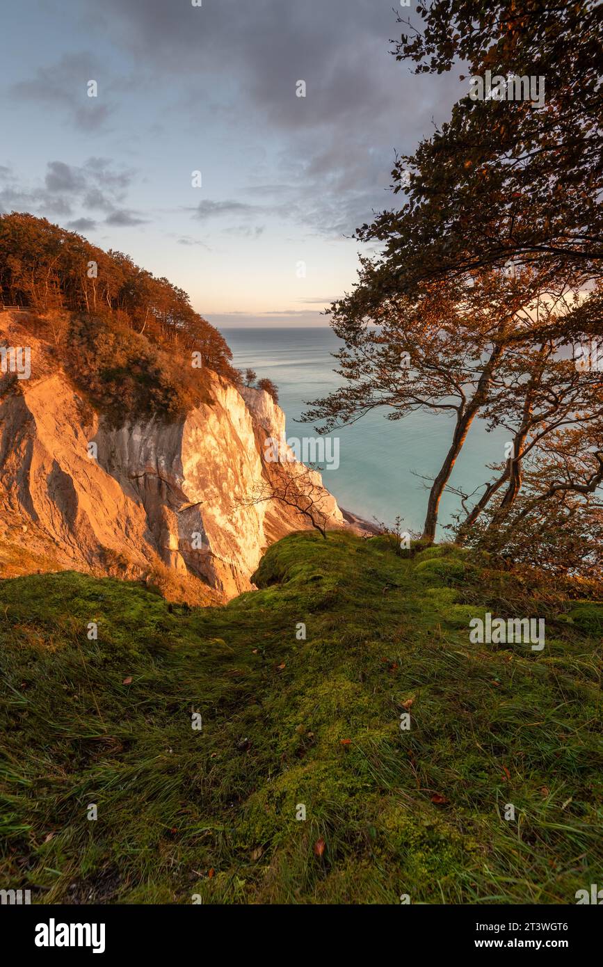 The morning sun shines on the chalk cliffs of Möns Klint, Baltic Sea ...
