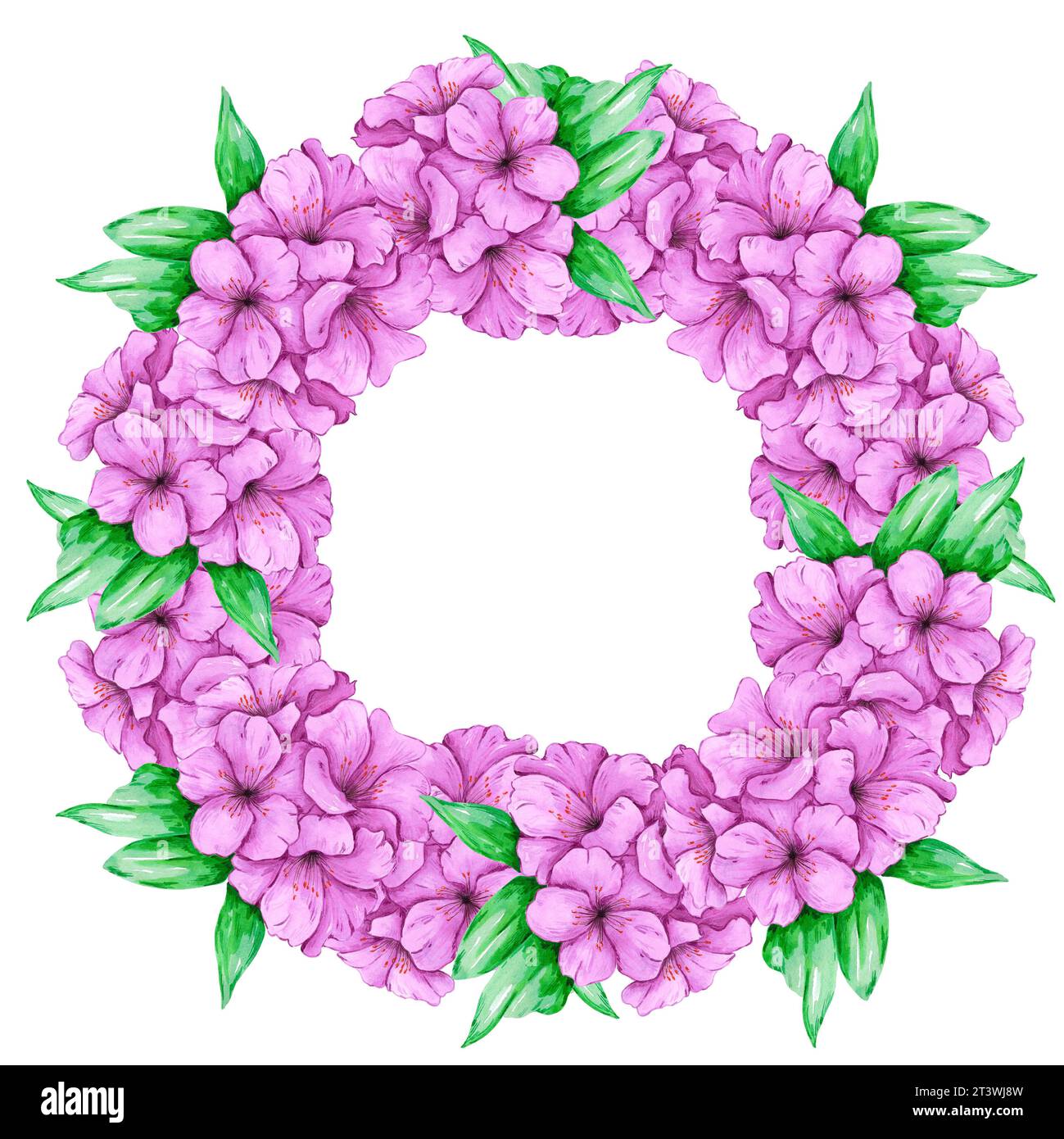 Hand drawn watercolor purple azalea wreath frame border isolated on ...