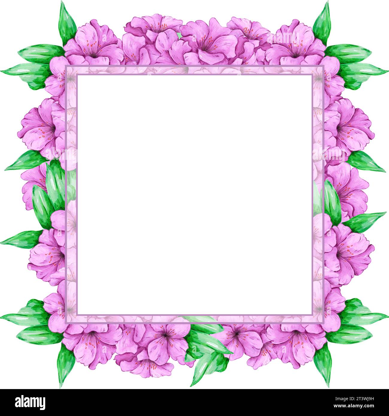 Hand drawn watercolor purple azalea frame border isolated on white ...