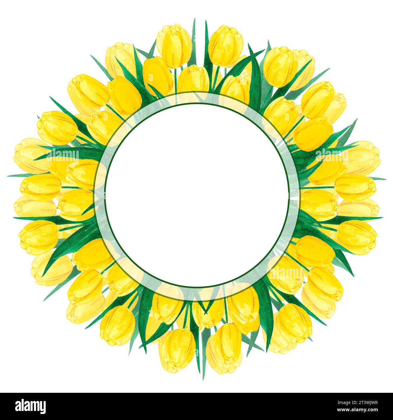 Hand drawn watercolor yellow tulips bouquet frame isolated on white ...