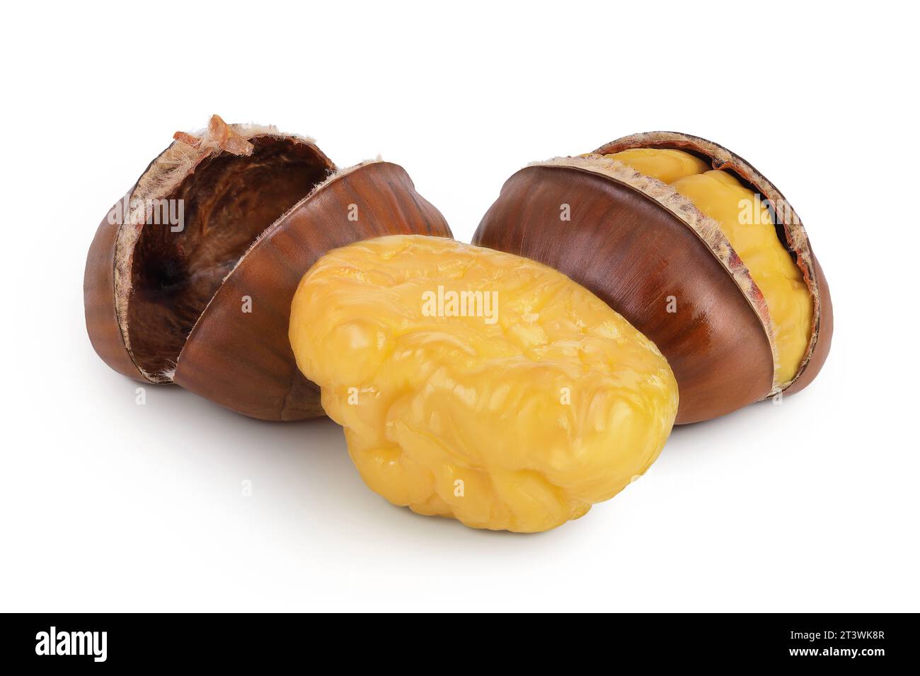 roasted peeled chestnut isolated on white background wit full depth of ...